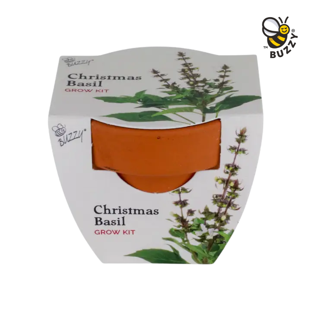 Holiday Mini Grow Pot Christmas Basil – Indoor Herb Gift – The GreeneHouse